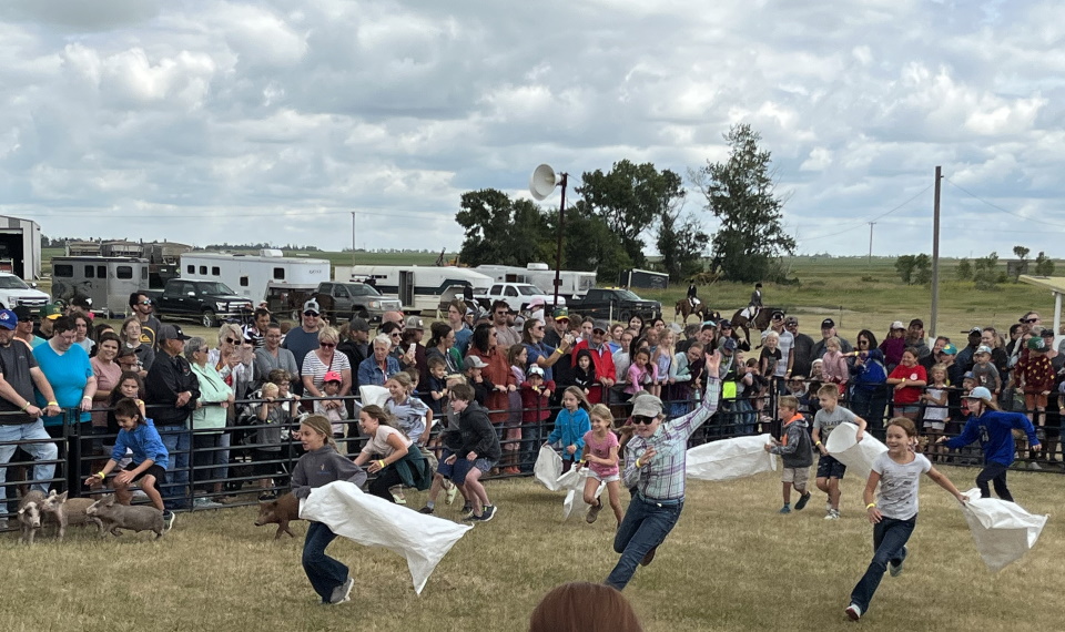 Pig Scramble, kids midway, fun for everyone at the Creelman Fair ...