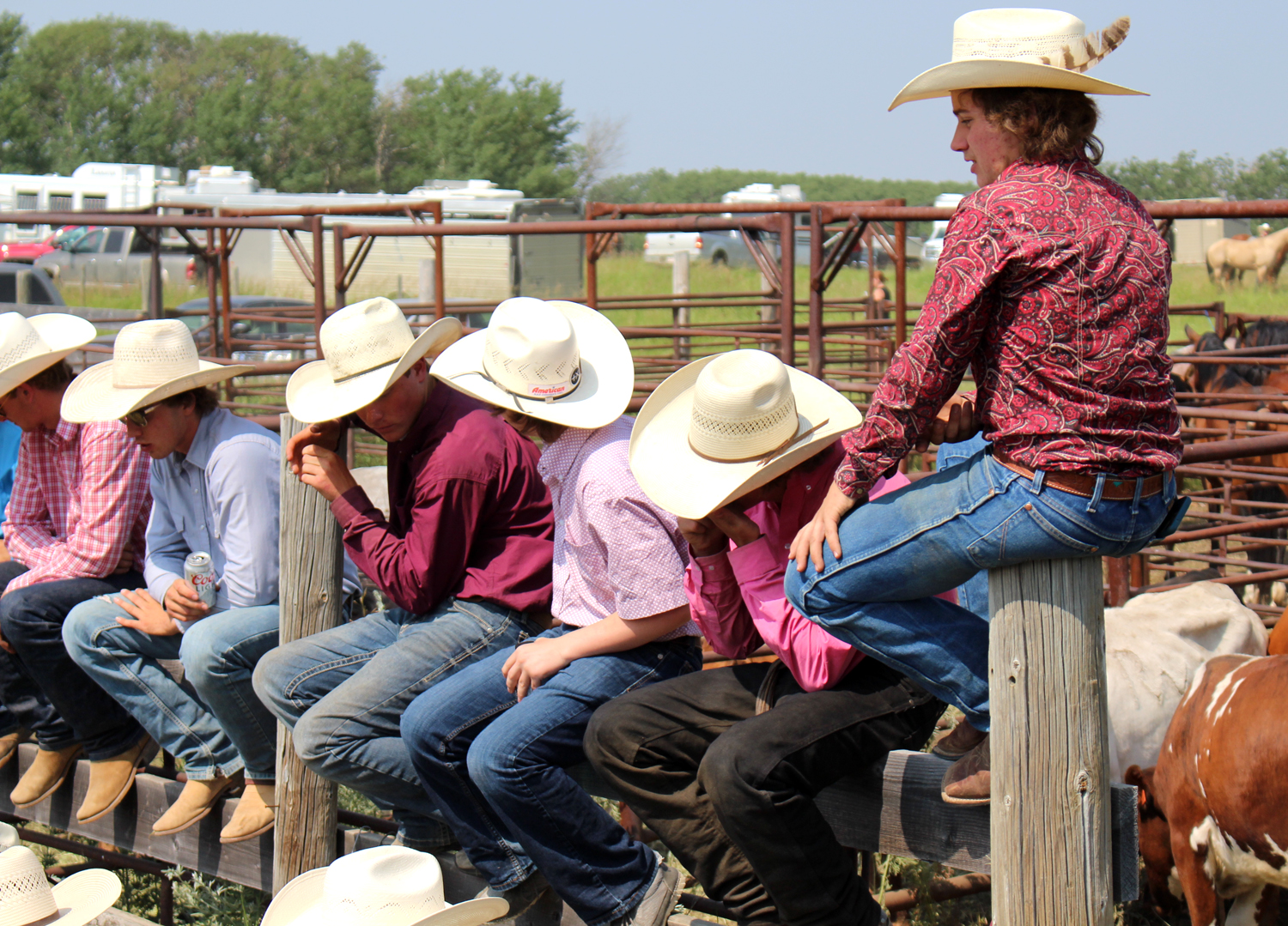 Over a century of bucks, broncs, and bull riding at Murraydale ...