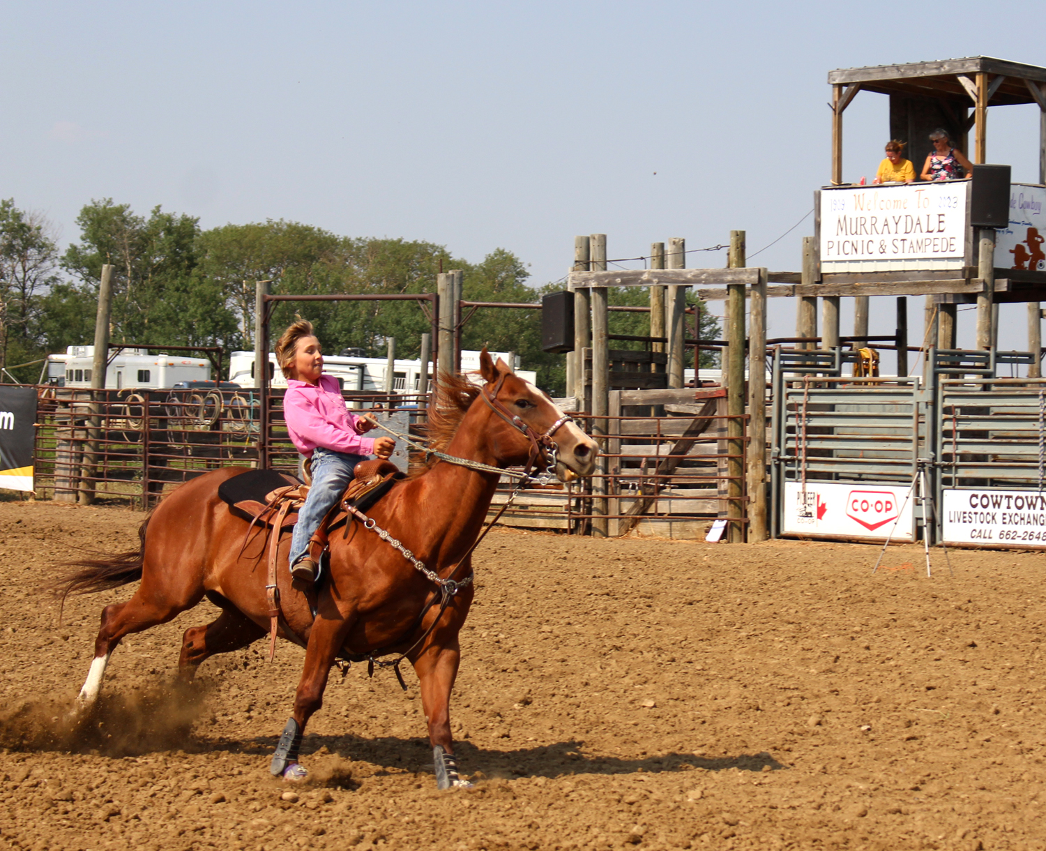 Over a century of bucks, broncs, and bull riding at Murraydale ...