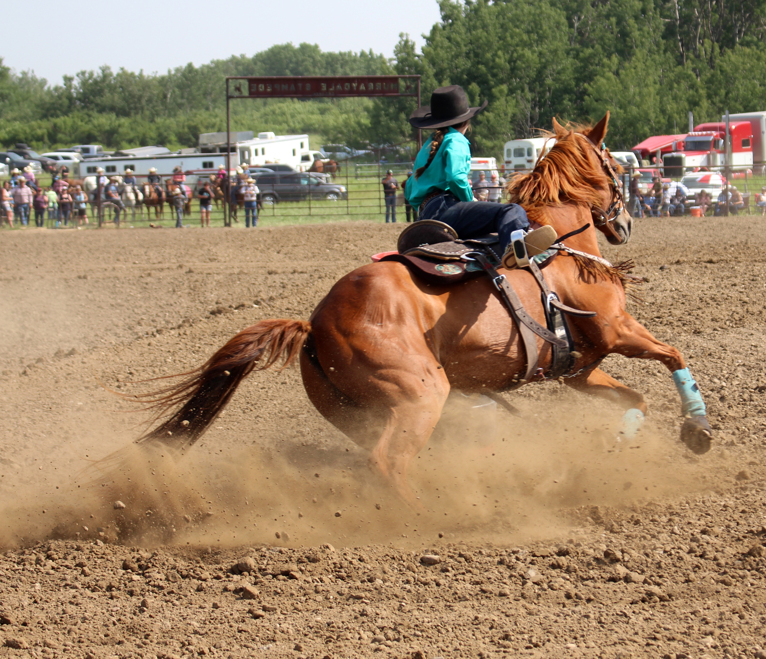 Over a century of bucks, broncs, and bull riding at Murraydale ...