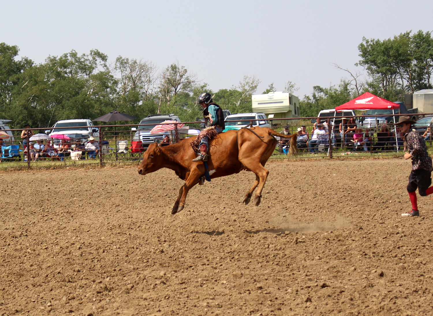 Over a century of bucks, broncs, and bull riding at Murraydale ...
