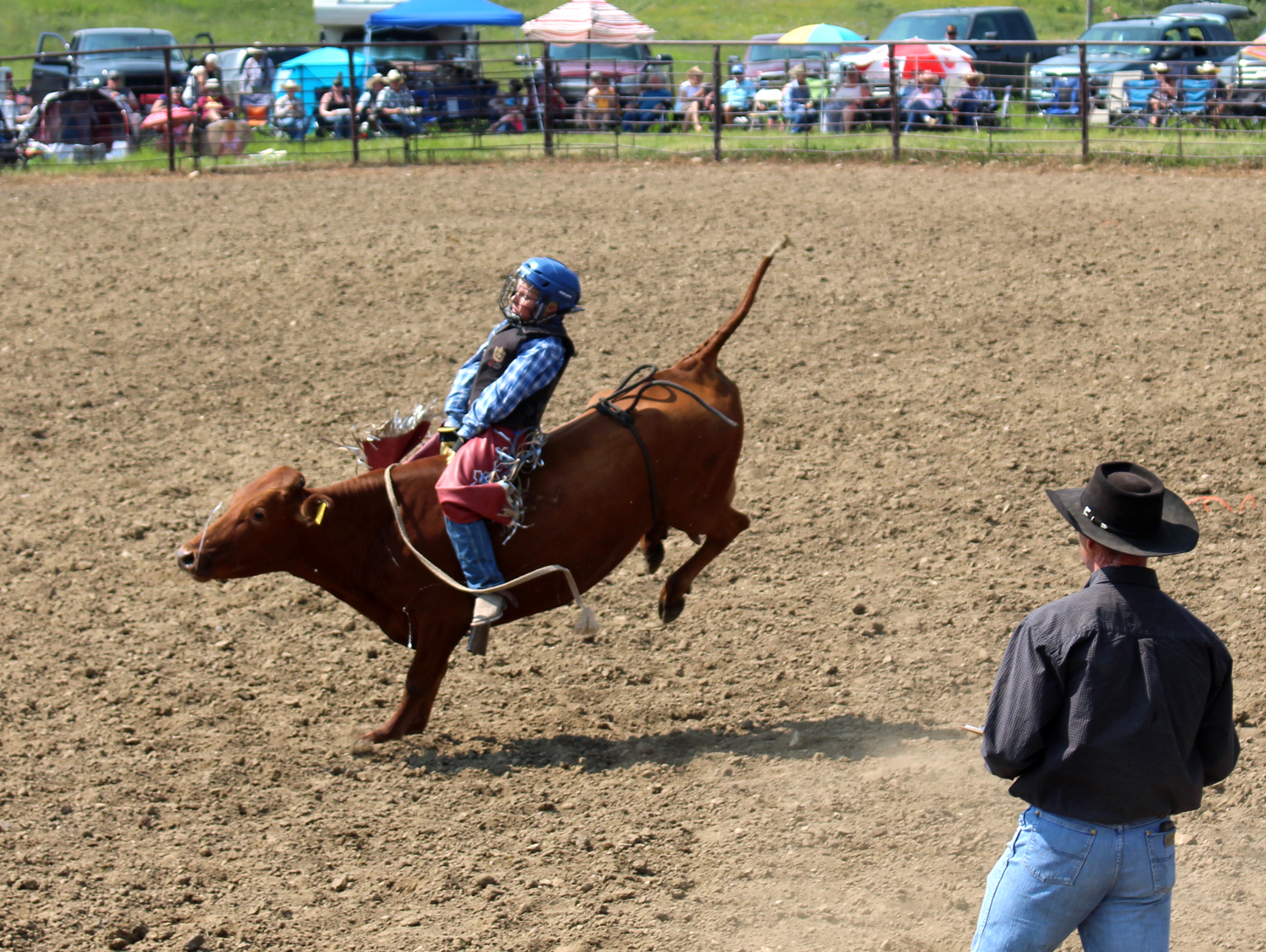 Over a century of bucks, broncs, and bull riding at Murraydale ...