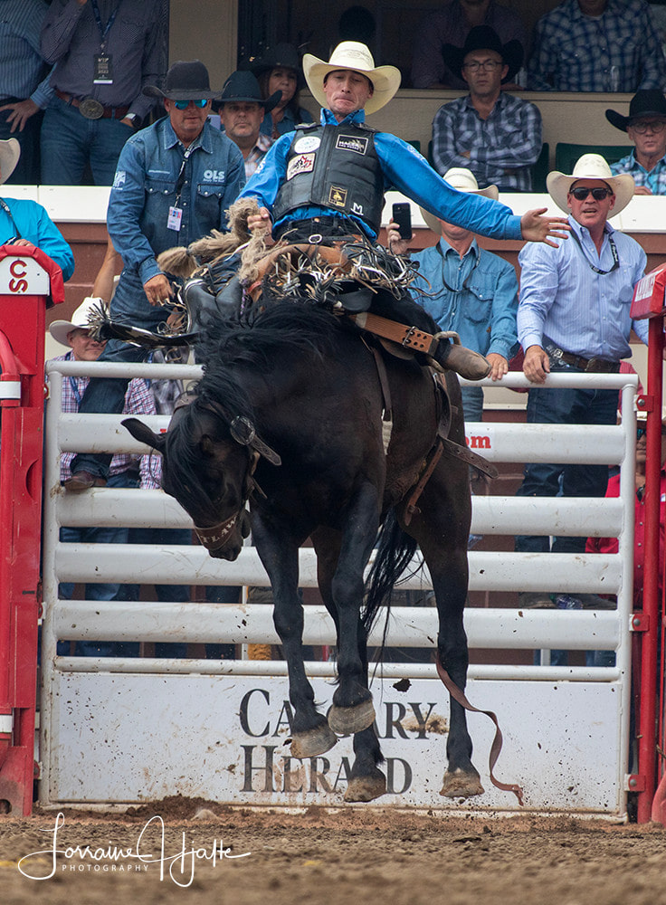 Locals do well on opening day of Pool C at Stampede Rodeo ...
