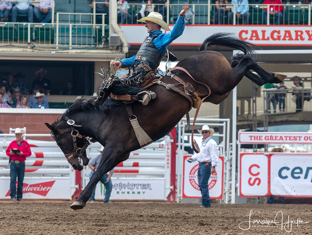 Locals do well on opening day of Pool C at Stampede Rodeo ...