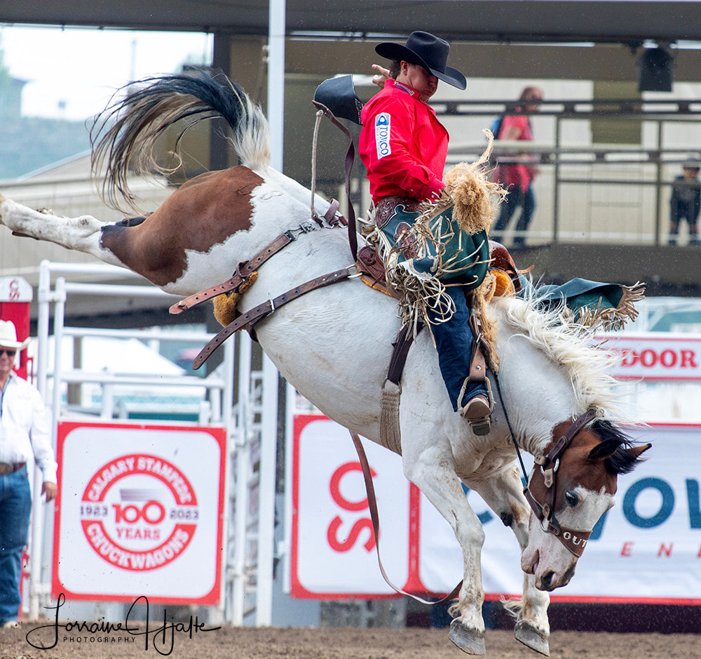 Locals do well on opening day of Pool C at Stampede Rodeo ...