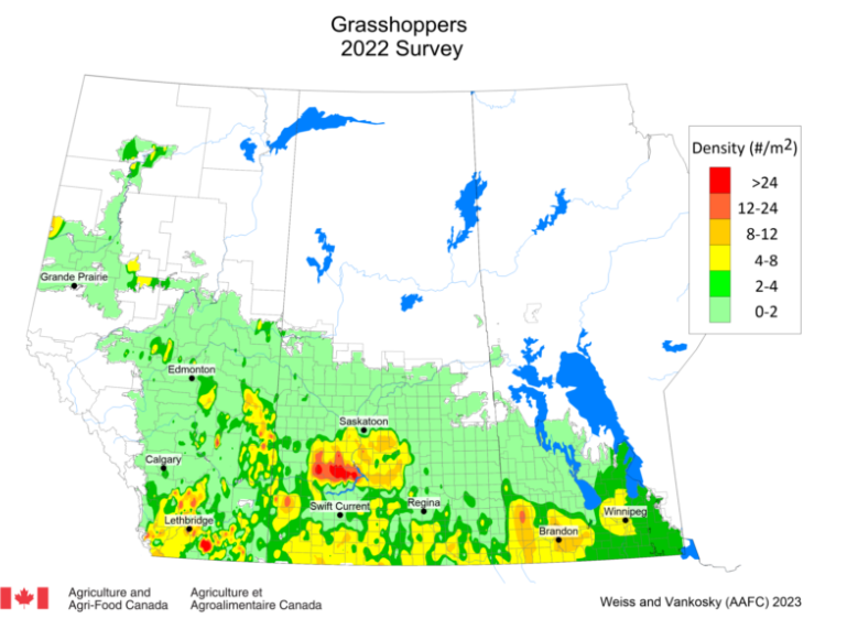 Participating in Insect and disease surveys play an important role in ...