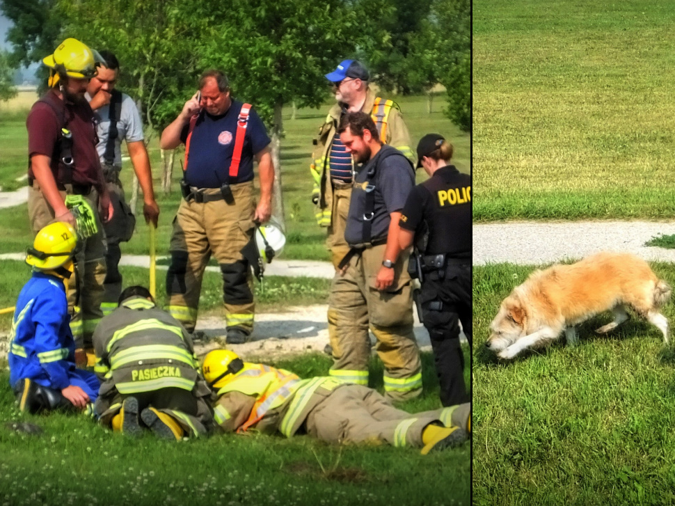 Dog trapped in culvert saved by the Ste. Anne Fire Department - SteinbachOnline.com - Local news ...
