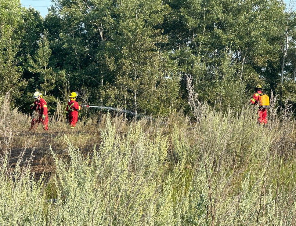 Fire fighters' hard work gets grass fire under control Thursday ...