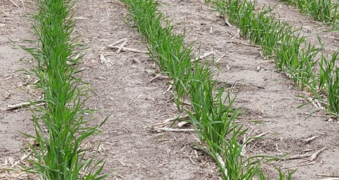 Water Security Agency opening up vacant land and water areas for ...