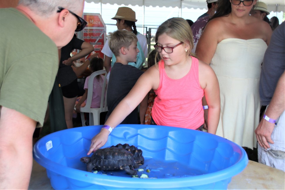 Mud bog, bubble soccer and life on the farm: Hanover Ag Fair in photos ...