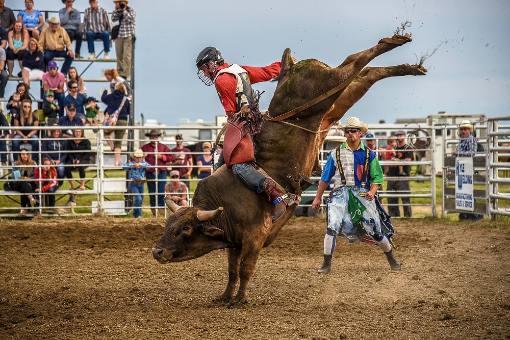 Town of Kyle to tackle 48th annual rodeo - WestCentralOnline: West ...