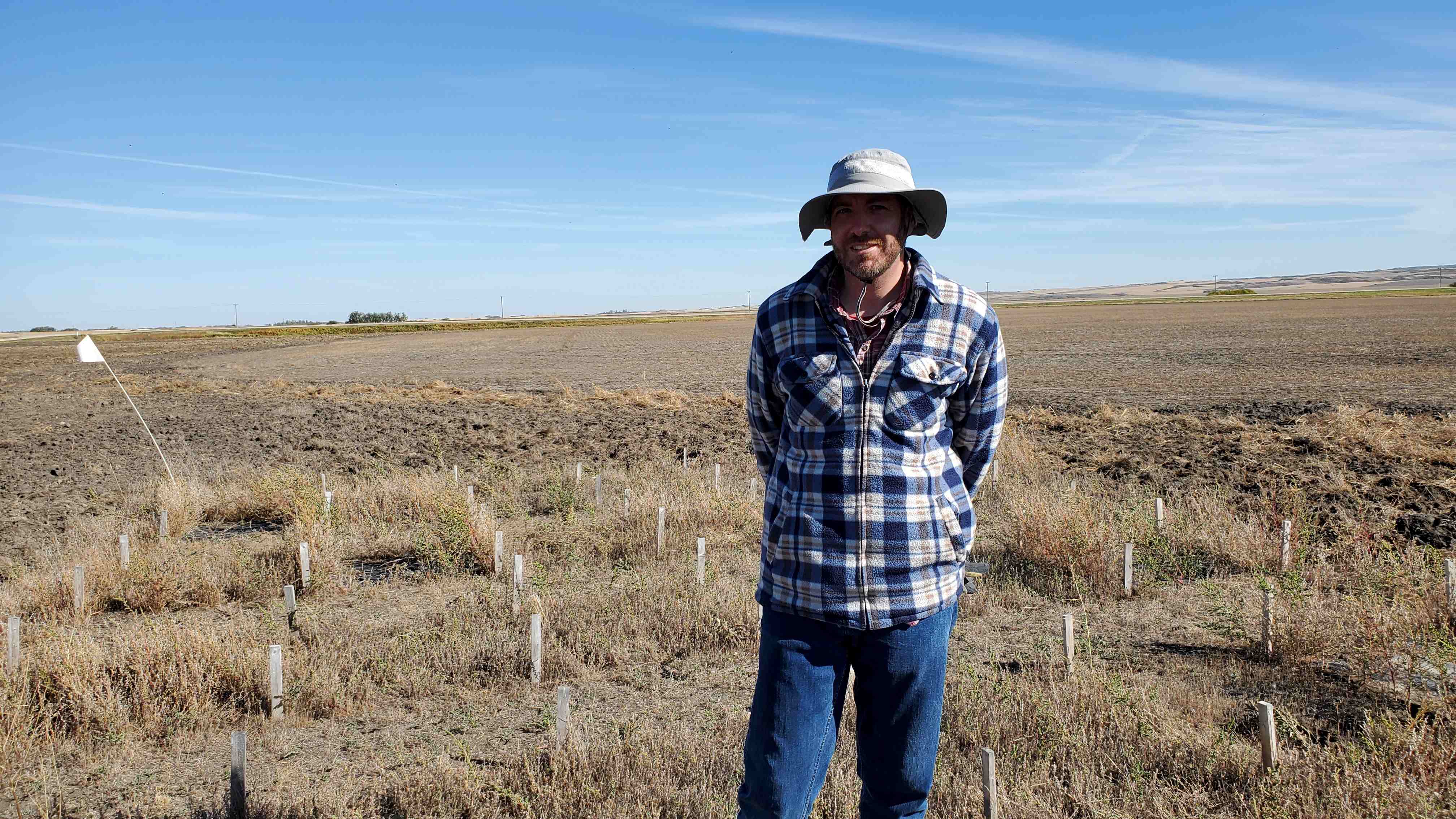 AAFC releases newest study on kochia in the prairies - StrathmoreNow ...