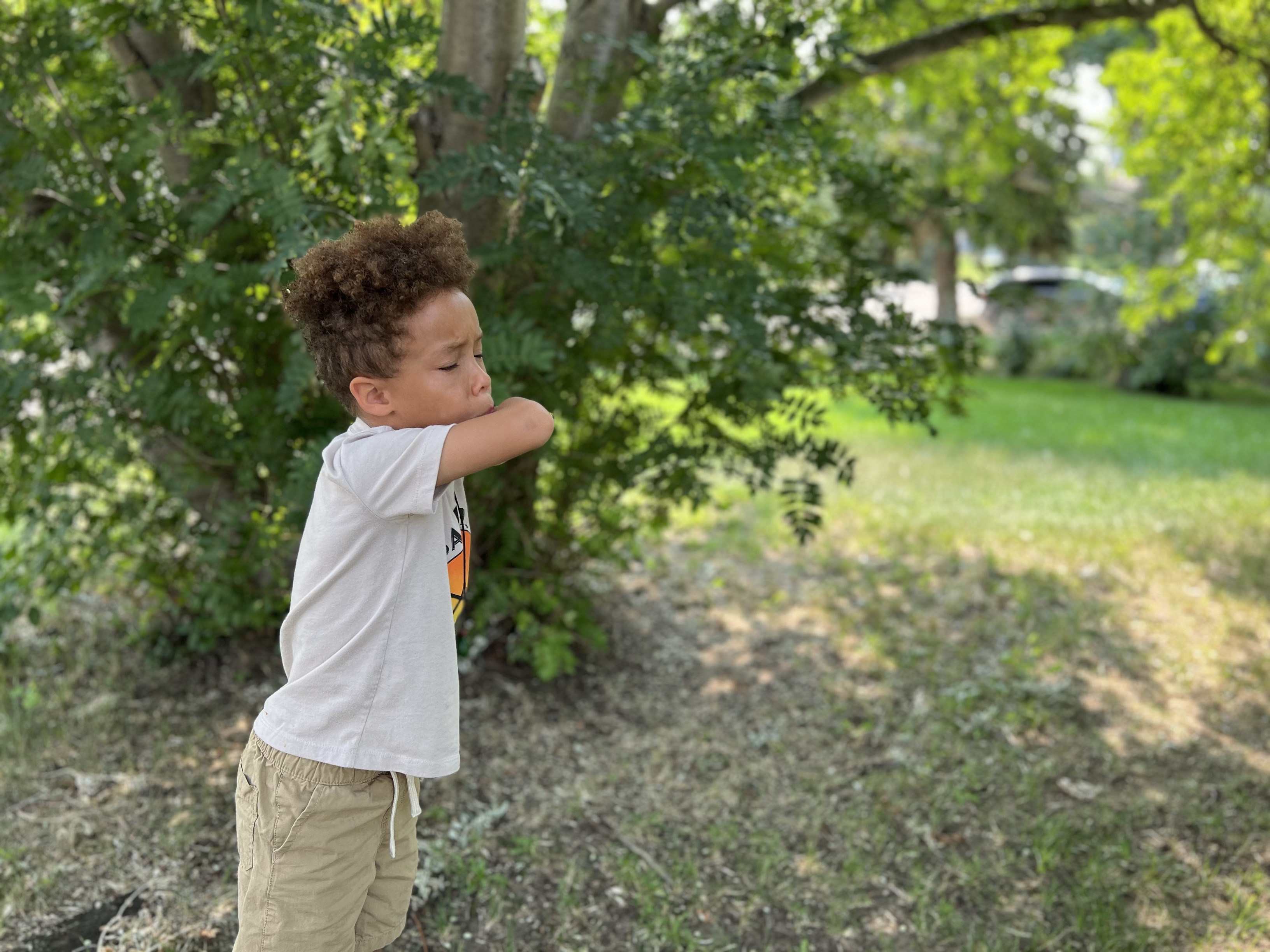 SHA cautions of whooping cough outbreak - DiscoverHumboldt.com - Local ...