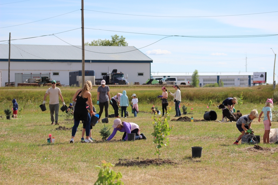 Plant a tree, make a difference: Tatagwa Tree Day returns to Weyburn ...
