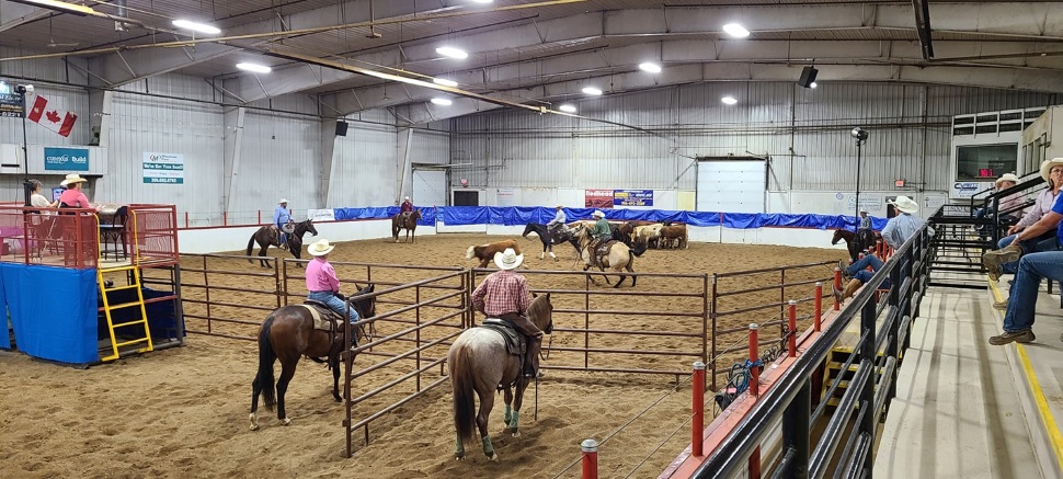 Cutting horse competition coming to the exhibition grounds this weekend ...