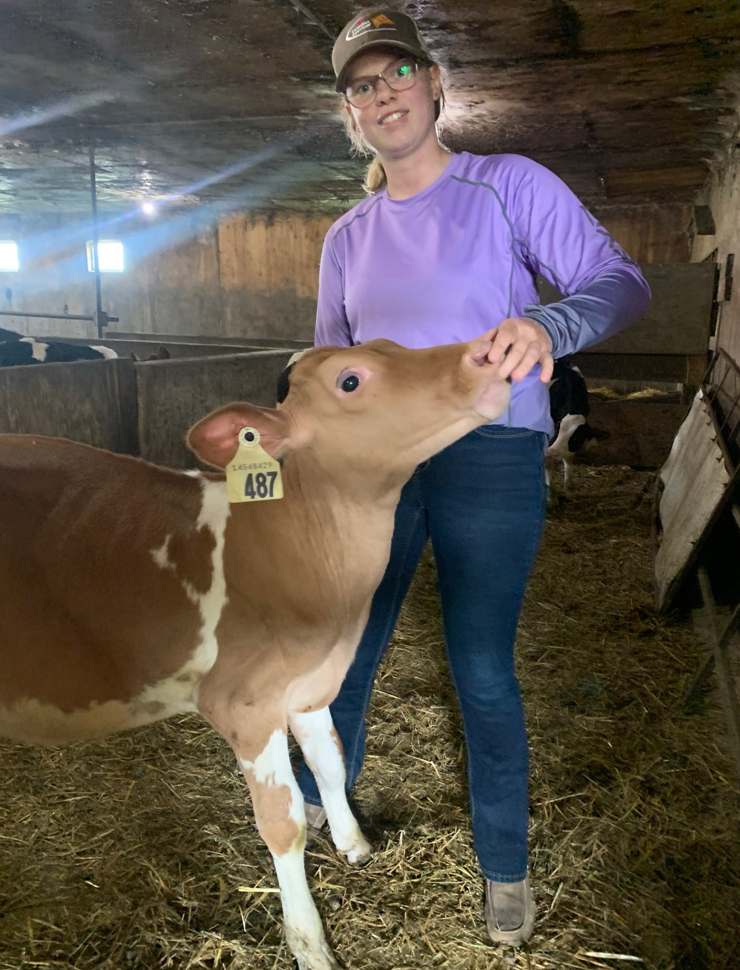 Golden Sunset Farms brings in golden cattle, excited to work with ...