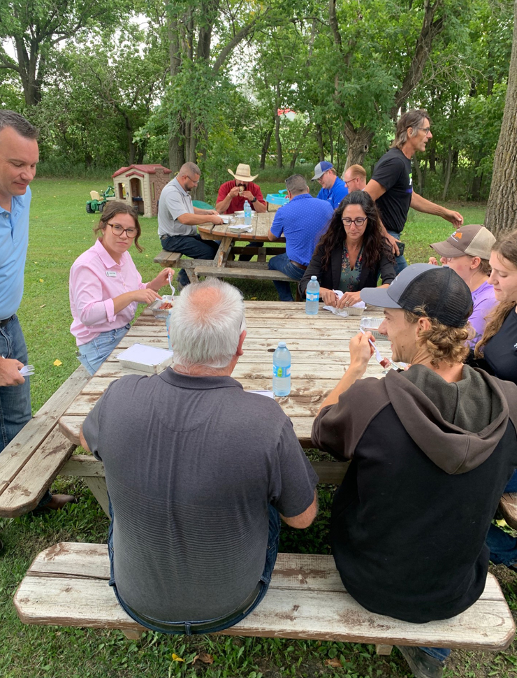 Golden Sunset Farms brings in golden cattle, excited to work with ...