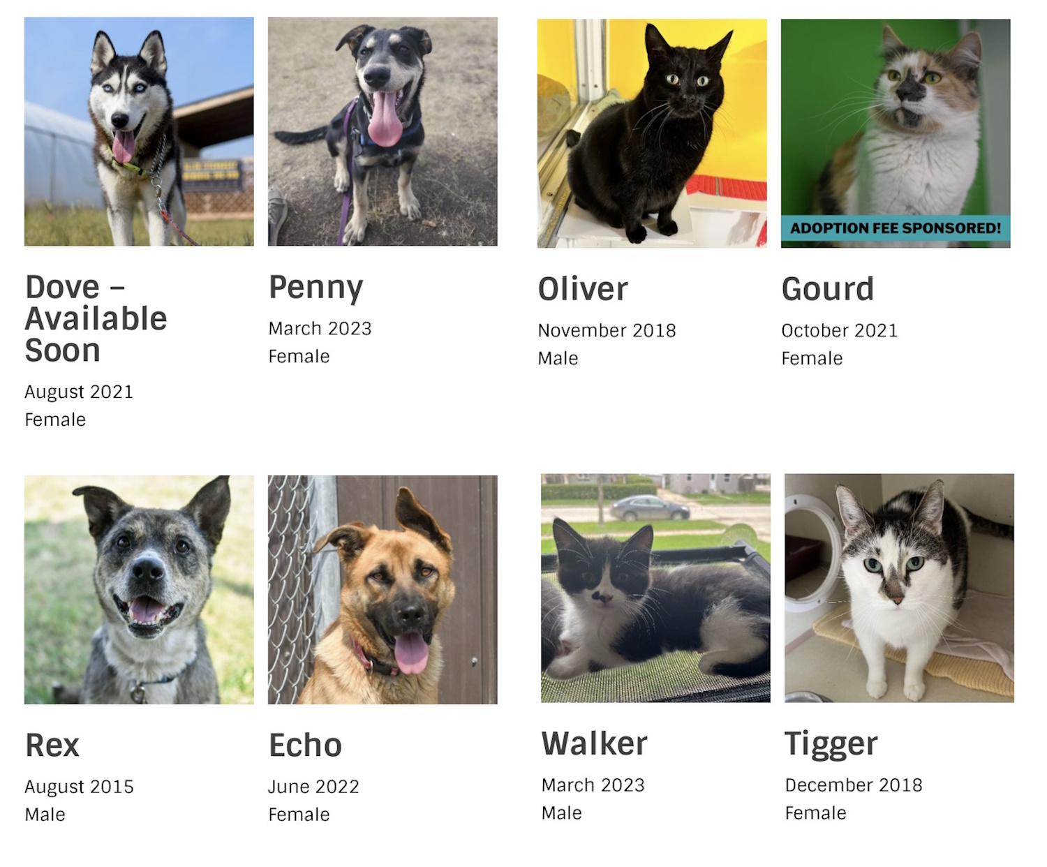 PVHS urges people to value the life of an animal - PembinaValleyOnline ...