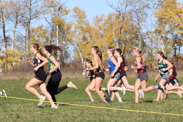 SHSAA Cross Country Provincial Championship results - DiscoverHumboldt ...