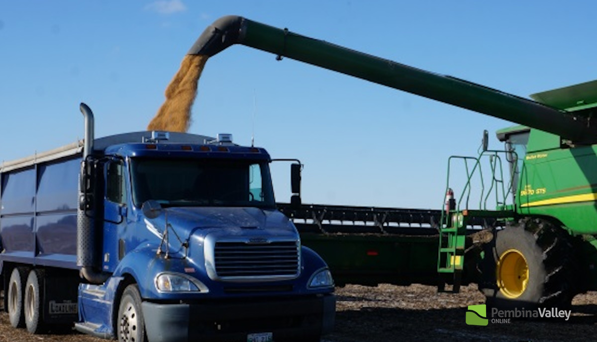 Common Ground foodgrains grow project yields modest crop ...