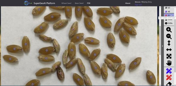 New Grain Grading App now available for farmers - WestCentralOnline ...