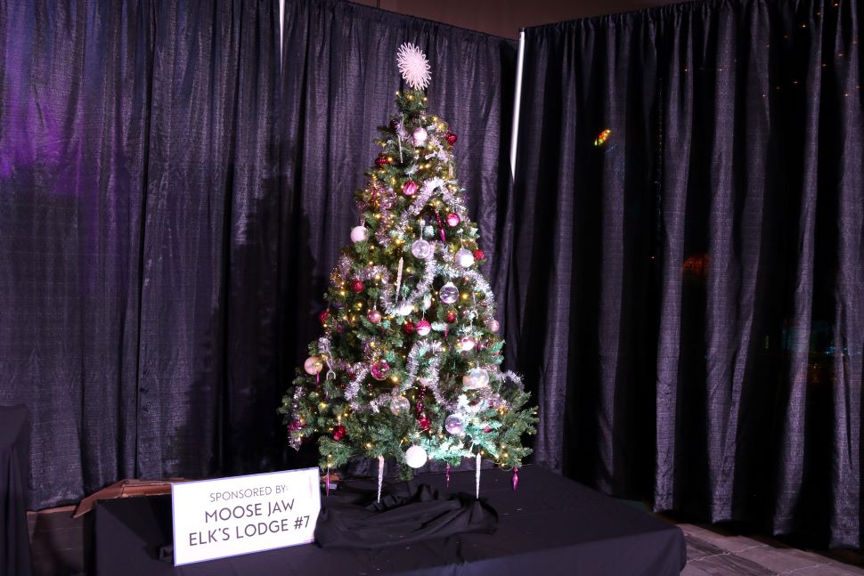 Local cancer survivor Jasmine Cameron shared her story at 32nd annual ...