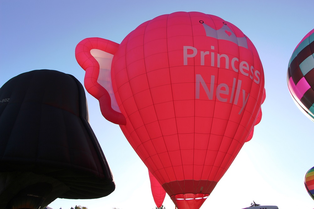 (GALLERY 3) Heritage Inn International Balloon Festival sets record ...