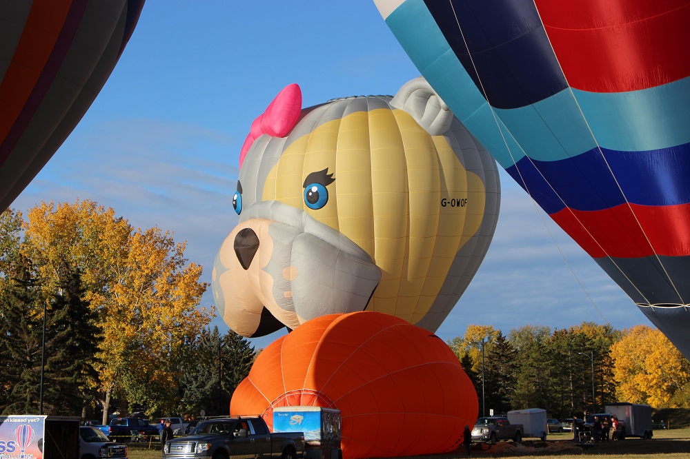 (GALLERY 3) Heritage Inn International Balloon Festival sets record ...