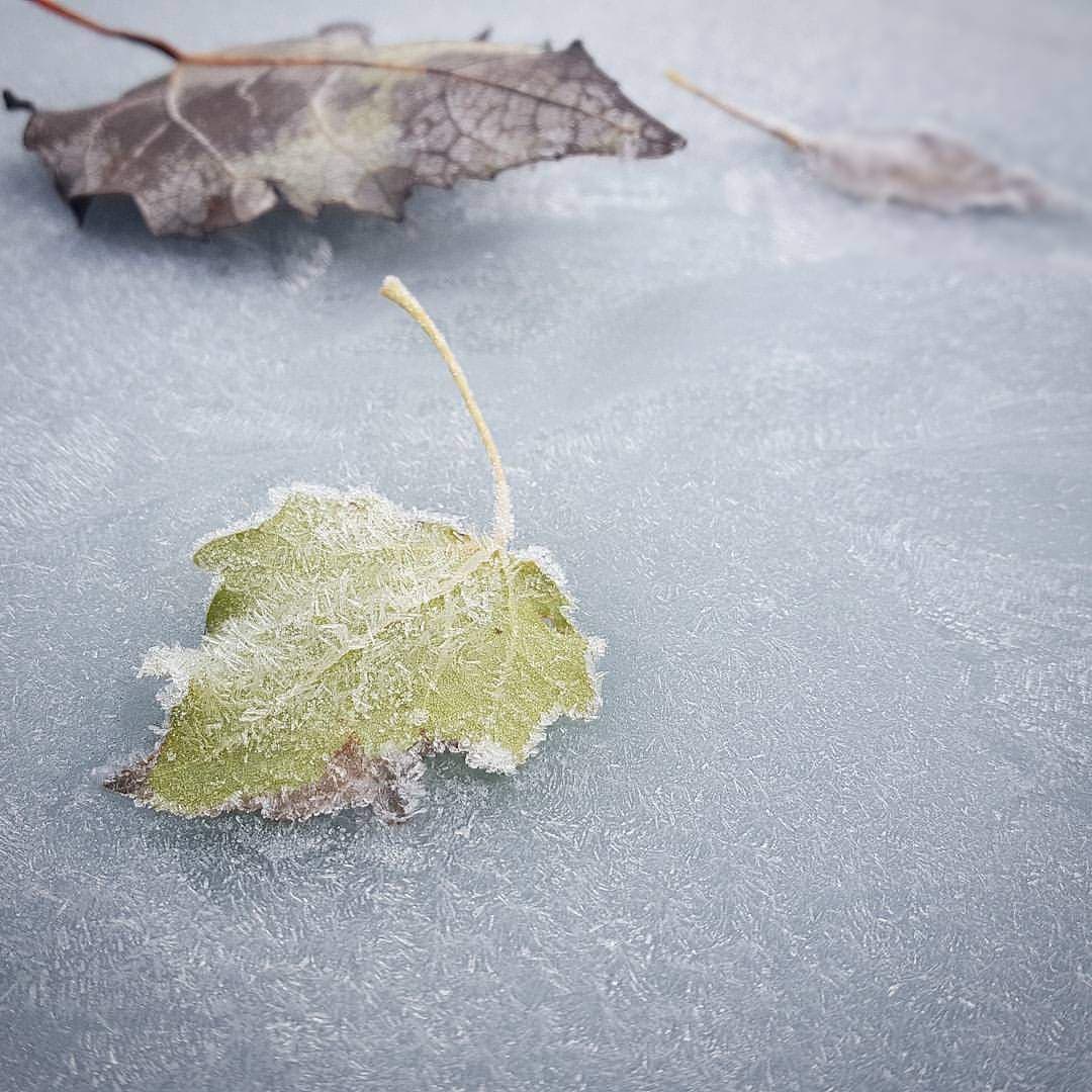 Drop in temperature could stick around as fall progresses ...
