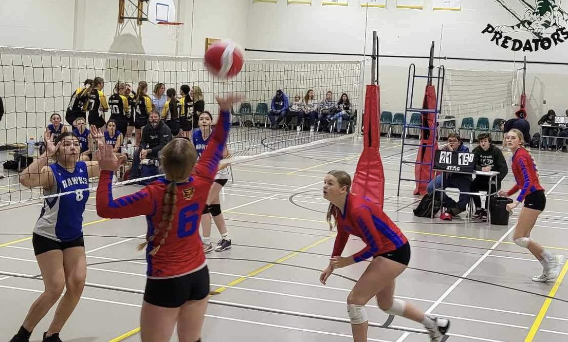 Lions capture gold at Ponteix Tournament - SwiftCurrentOnline.com ...