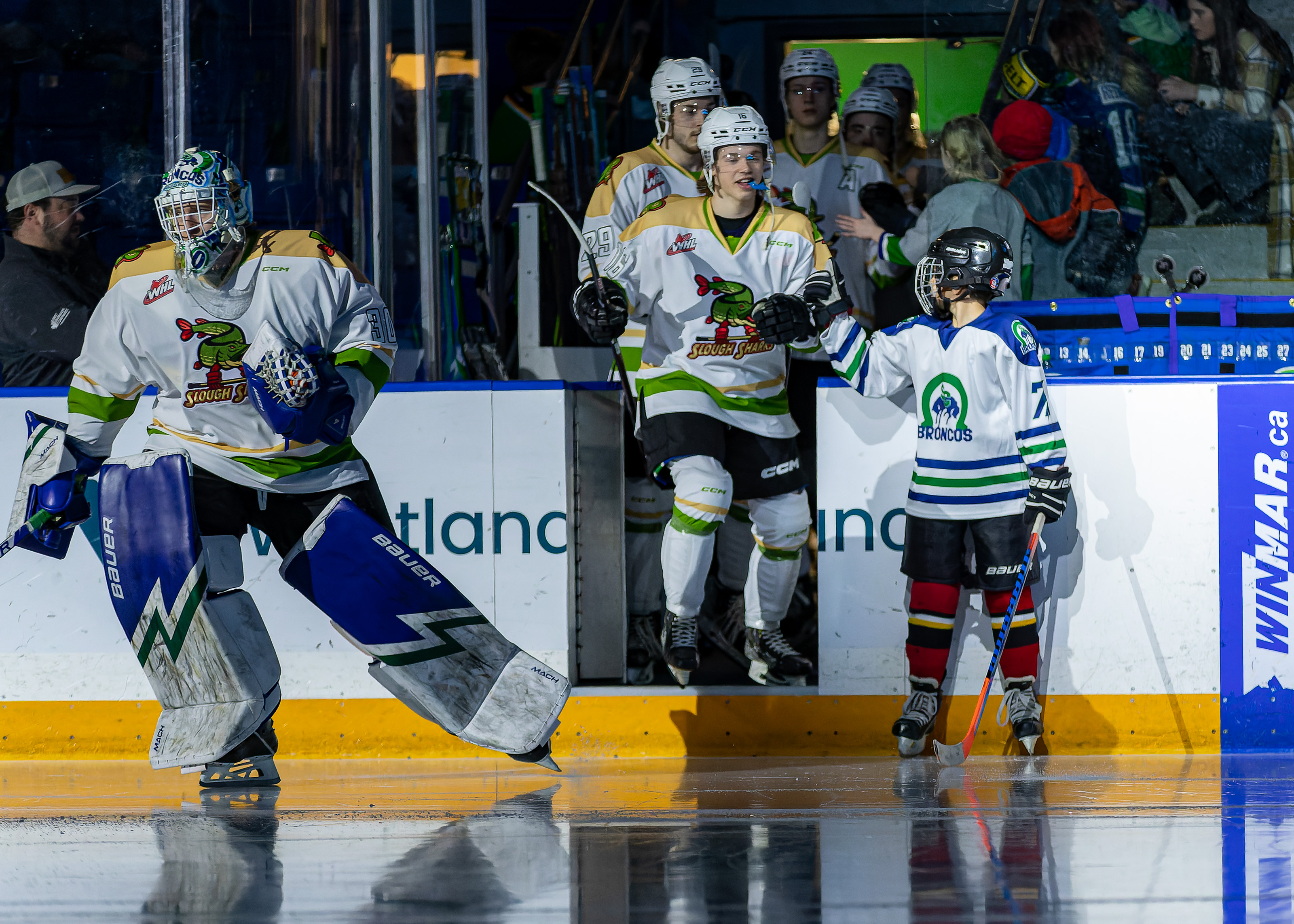 Slough Sharks return against Raiders - SwiftCurrentOnline.com - Local ...