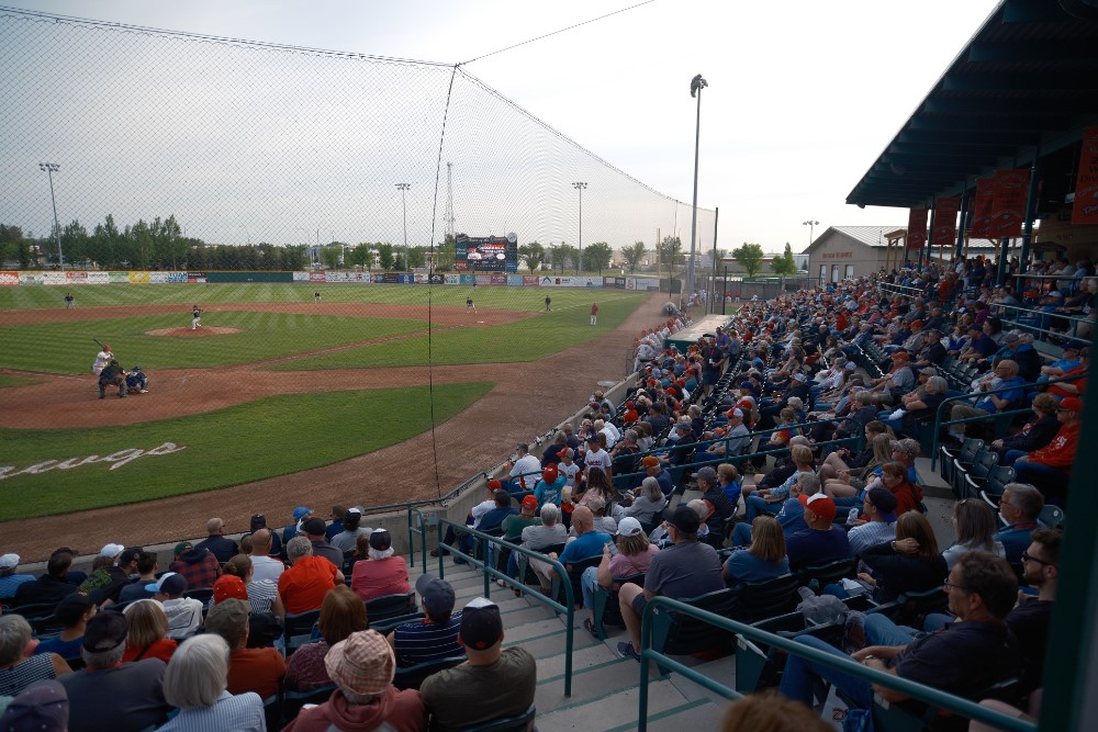 Okotoks Dawgs release 2024 schedule - HighRiverOnline.com - Local news ...