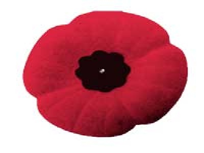 Legislation protects workers' rights to wear a poppy - DiscoverHumboldt ...