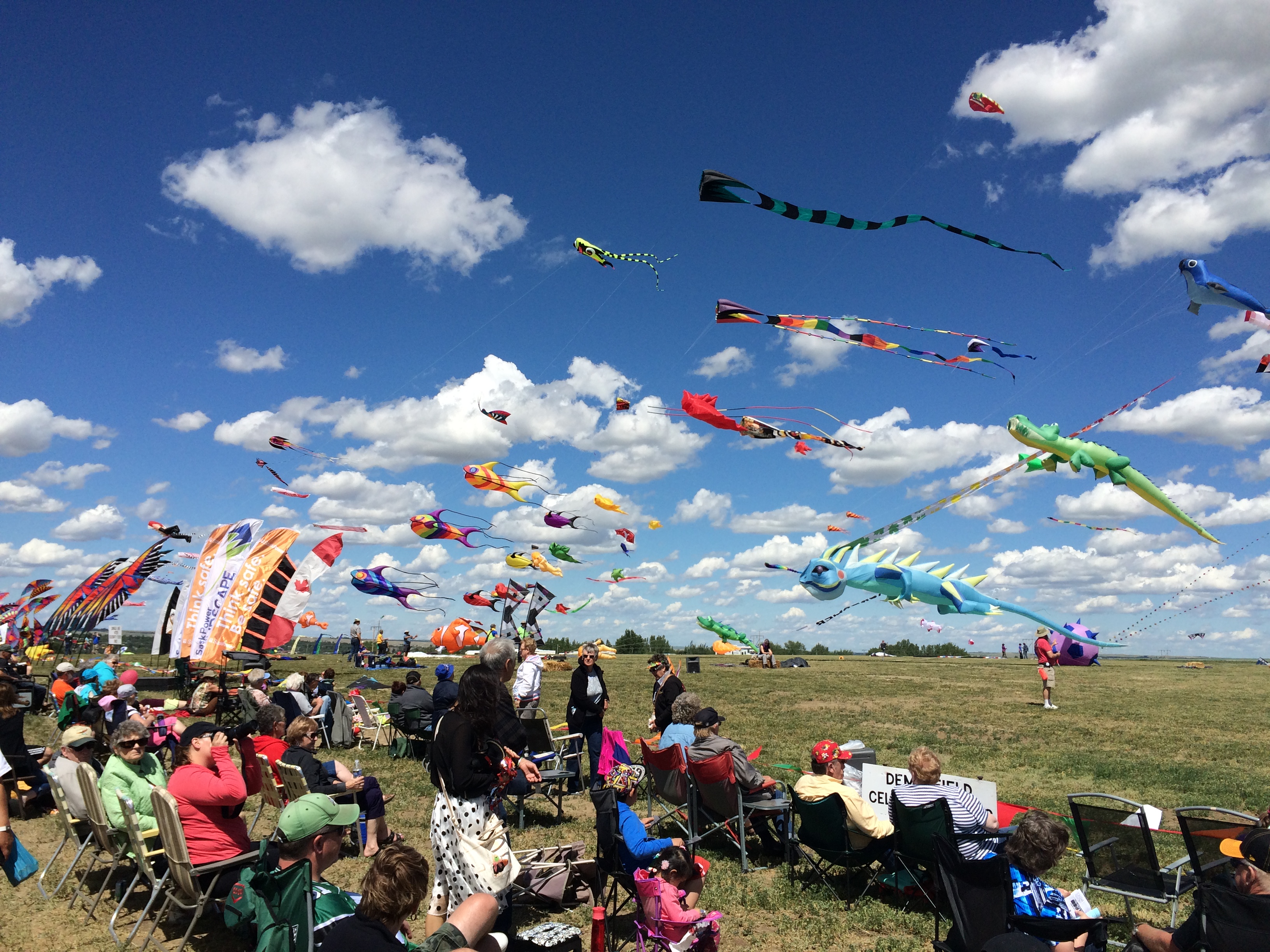 City weighs in on Windscape future - SwiftCurrentOnline.com - Local ...