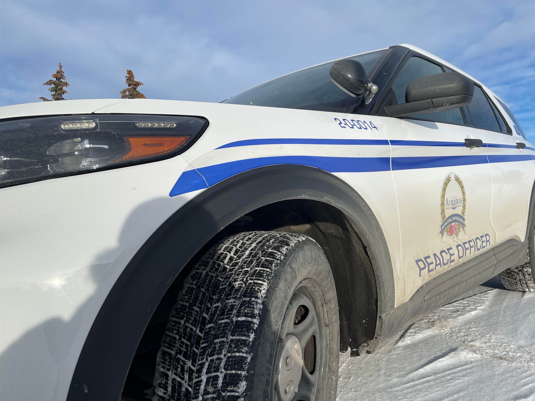 More details released on seizure of dogs from Airdrie rescue ...
