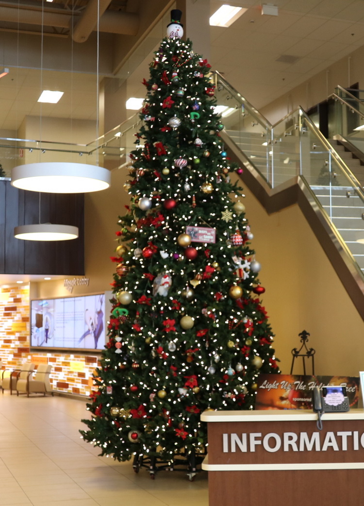 Dr. F. H. Wigmore Regional Hospital tree to be lit up today ...