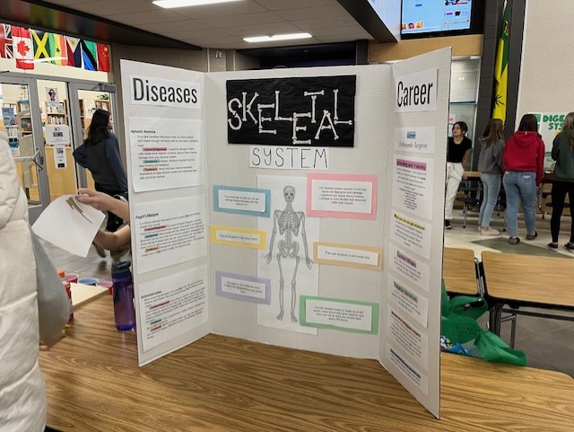 Elementary students learn about the human body at HCI's Health and ...