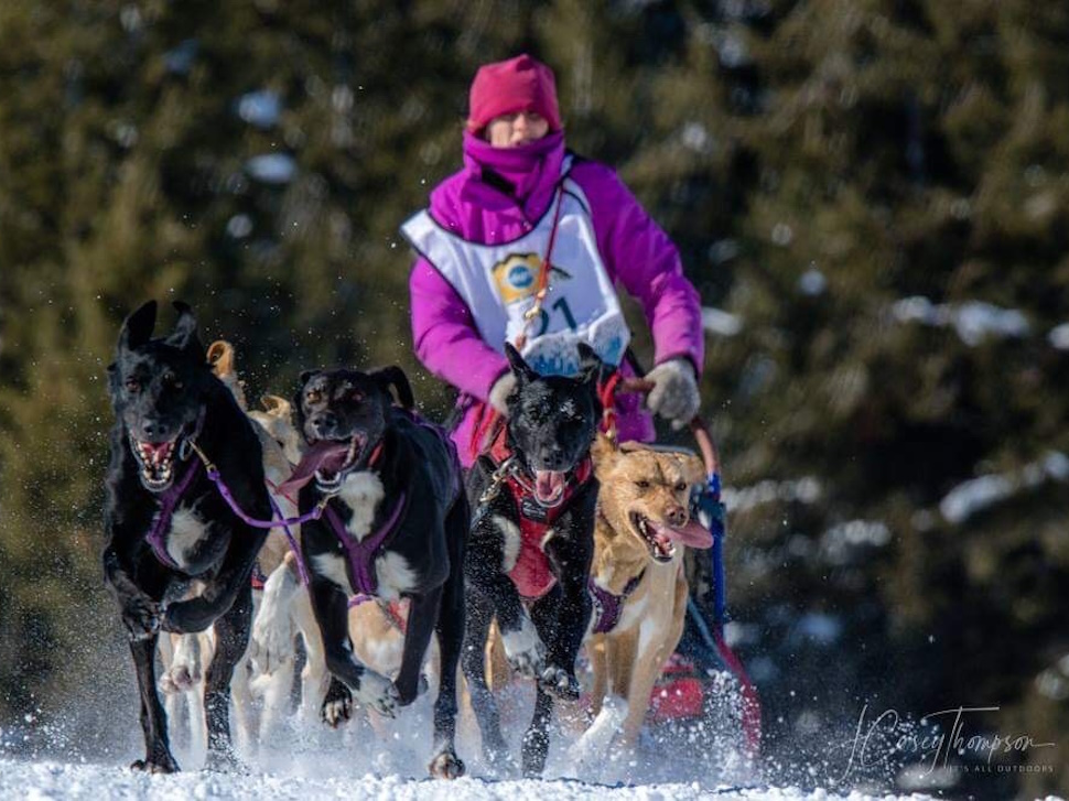 Vita Musher excited for a full season with team of 25 sled dogs ...