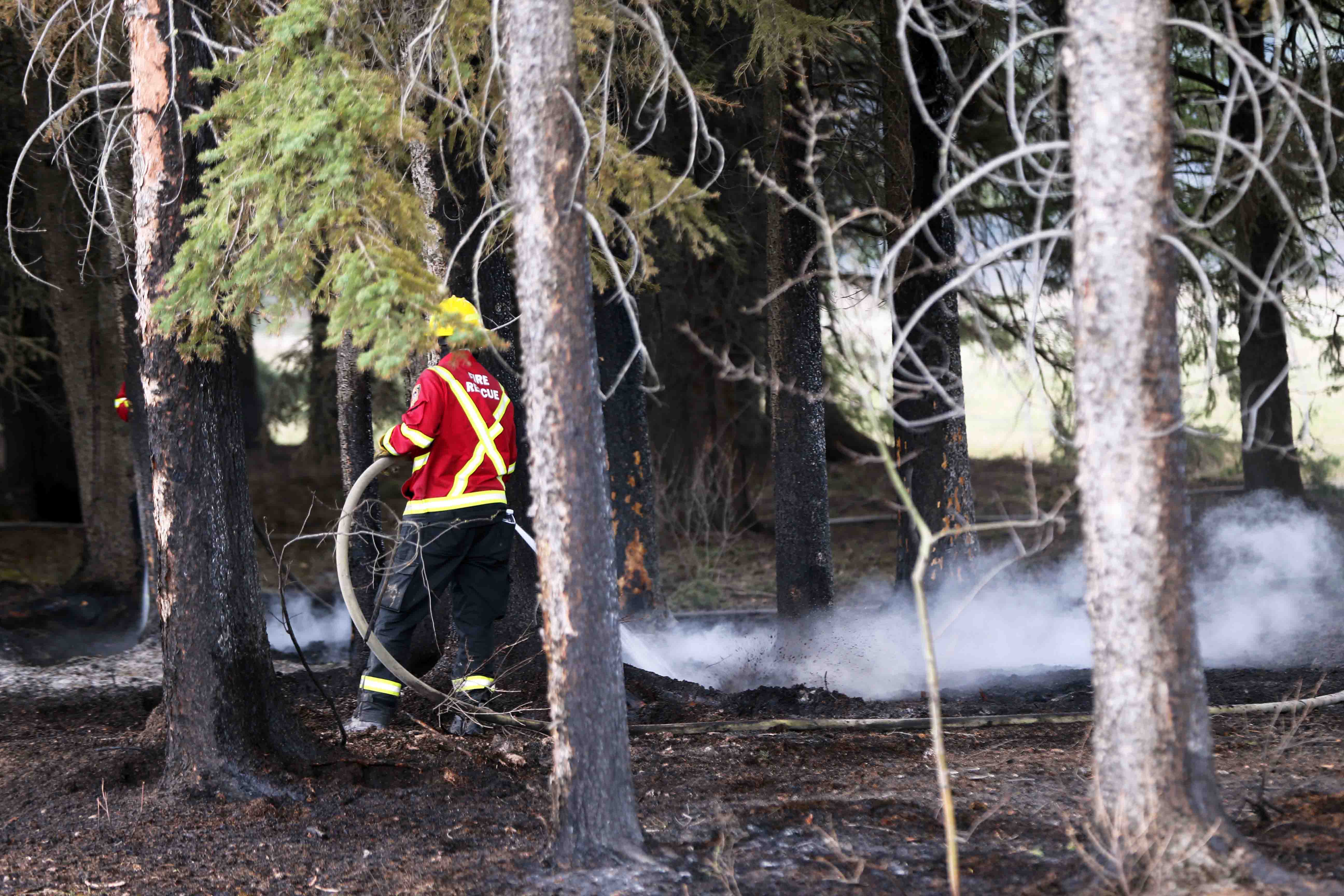 Alberta Fire Chiefs call for unified wildfire strategy ...