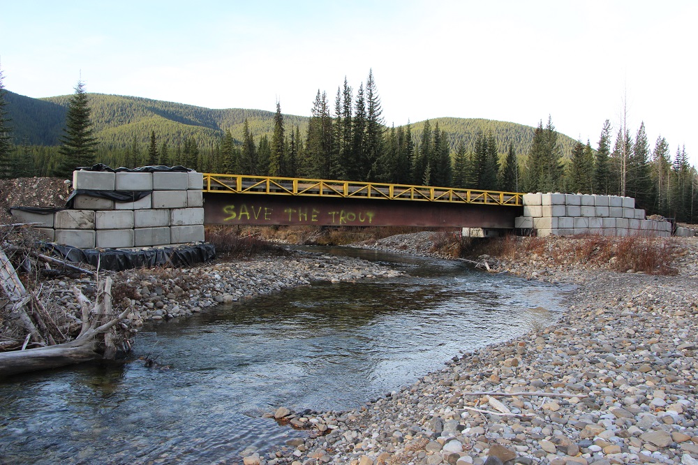 Kananaskis logging plans have been put on hold - OkotoksOnline.com ...