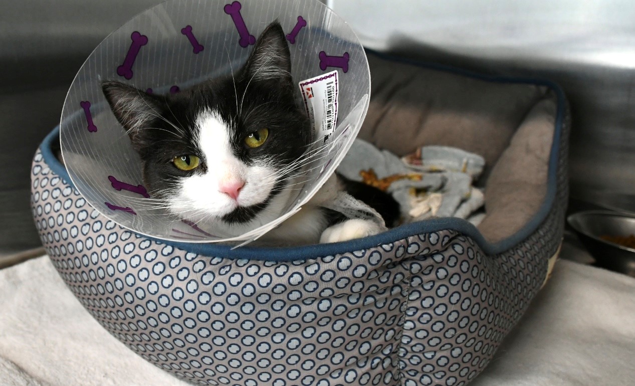 MJHS netted over $10K with 50/50 raffle - DiscoverMooseJaw.com - Local ...