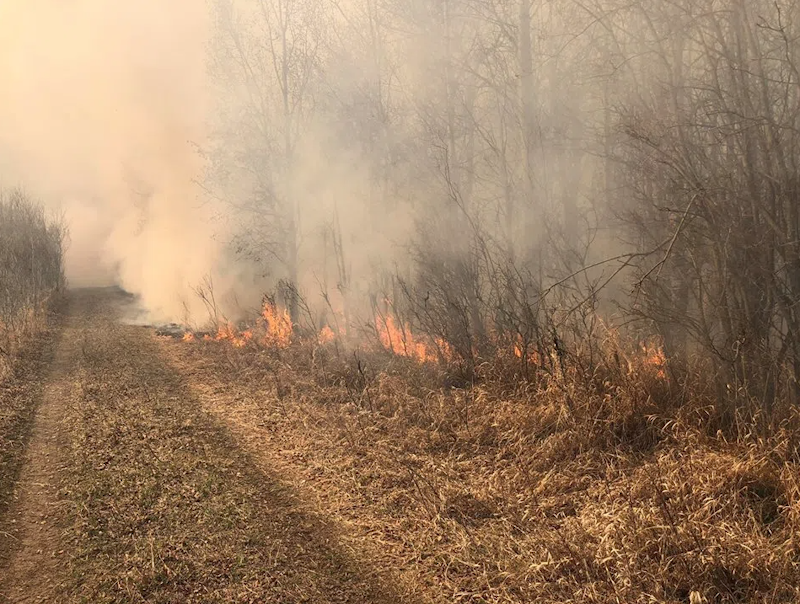 Saskatoon firefighters battle controlled burn that became a grass fire ...