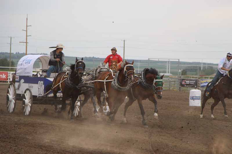 Chance Vigen overturned his wagon last night at the Grande Prairie ...