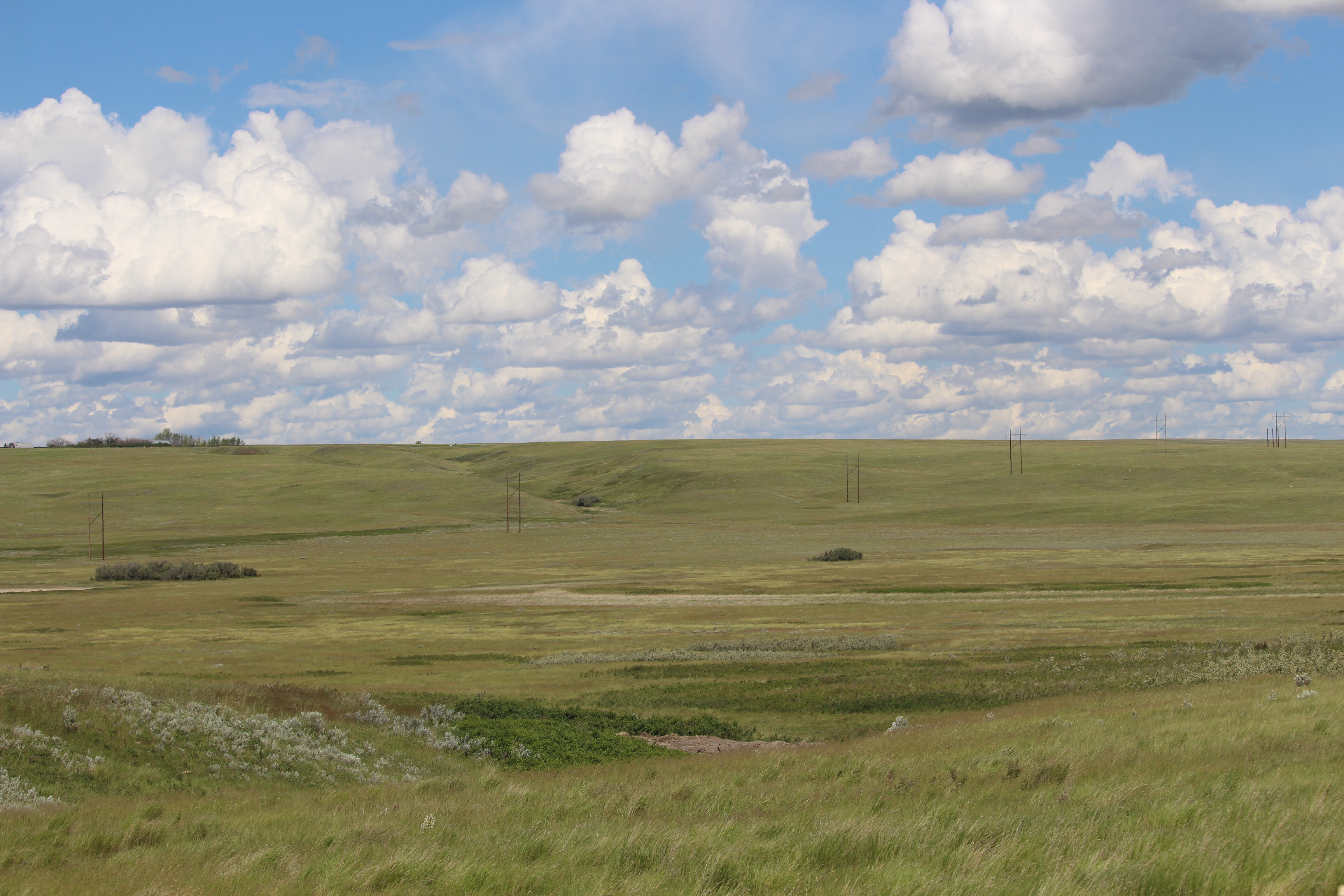 NCC leads tour through Cave Pasture conservation project ...