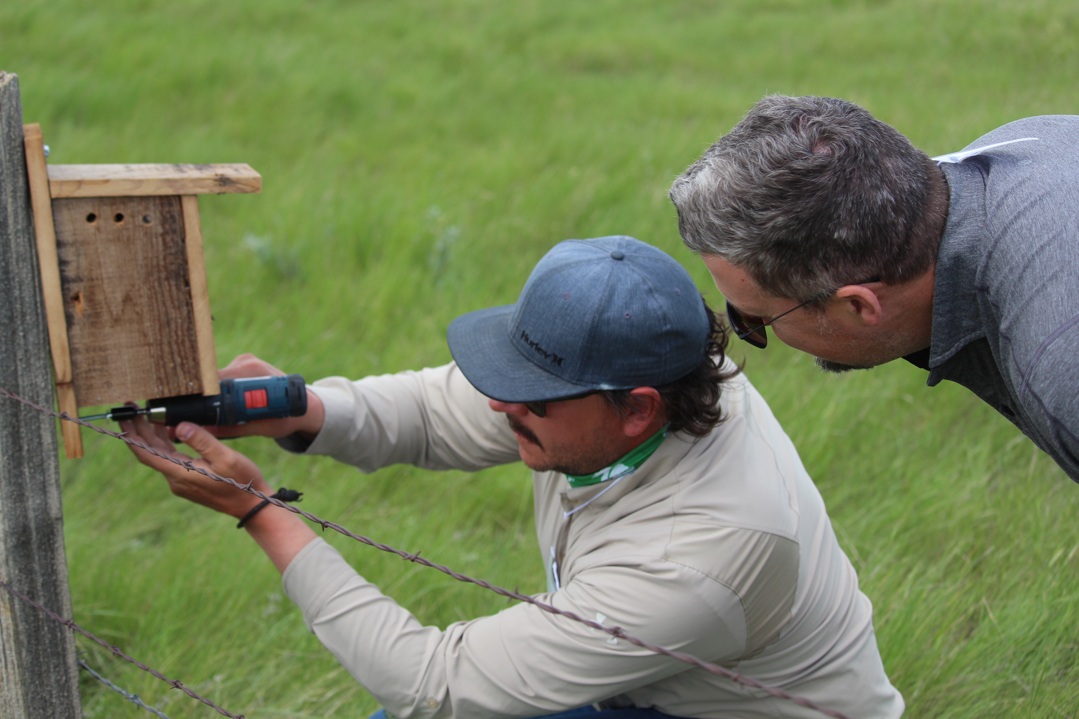 NCC leads tour through Cave Pasture conservation project ...