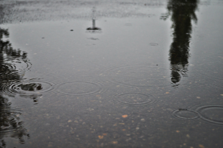 Heavy rainfall expected for Olds and Sundre areas ...