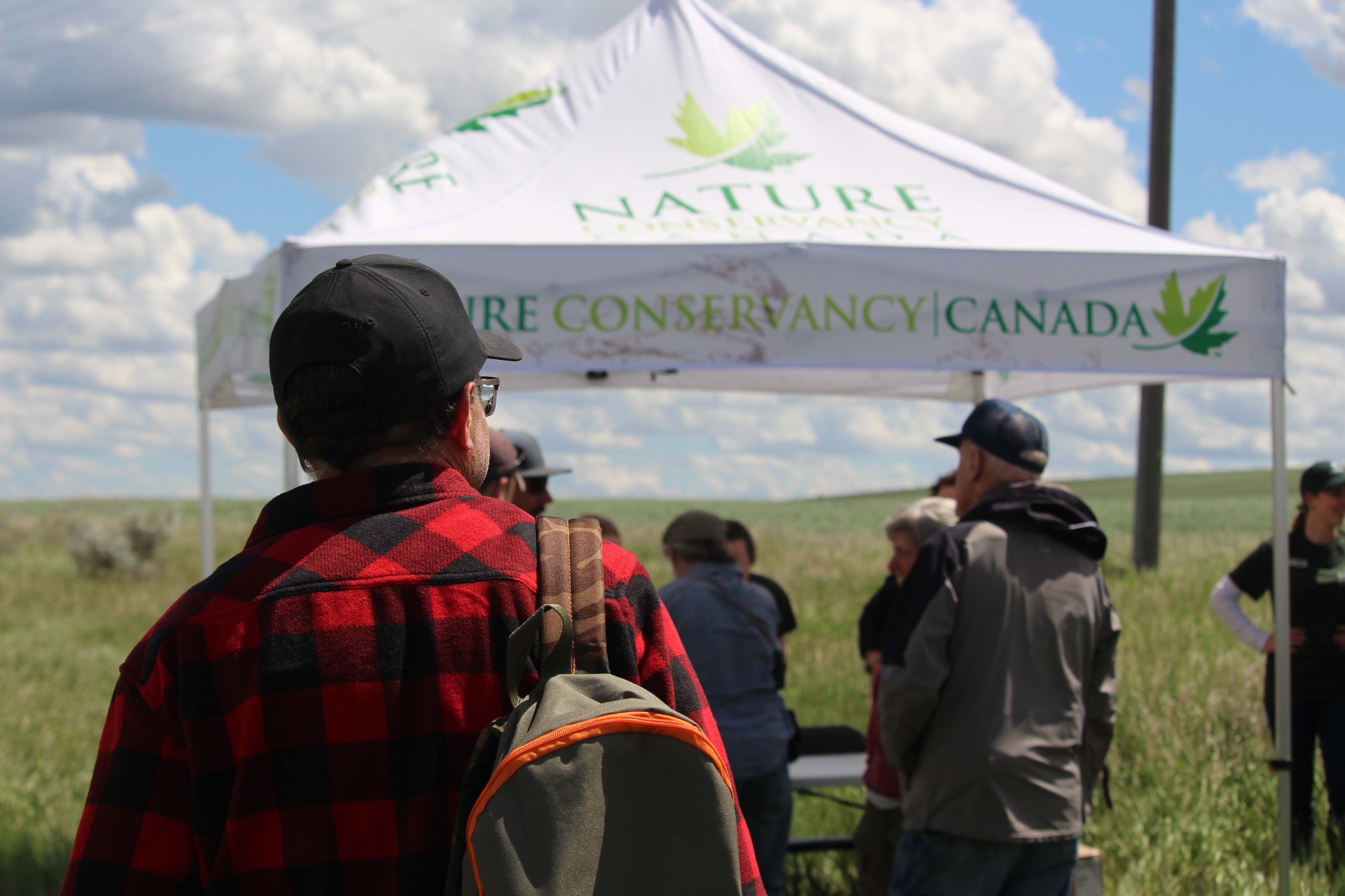 NCC leads tour through Cave Pasture conservation project ...