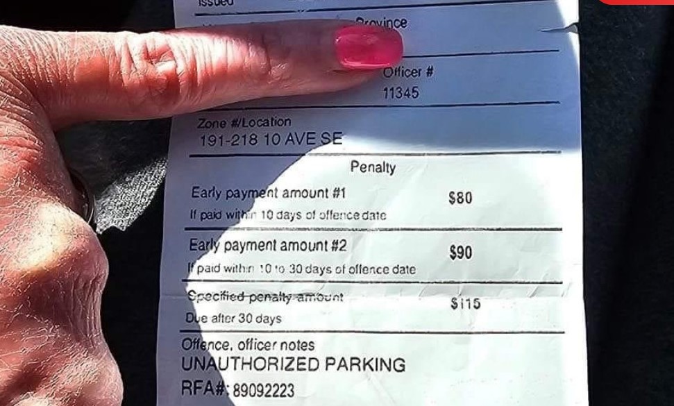 How to spot the fake parking tickets that are circulating ...