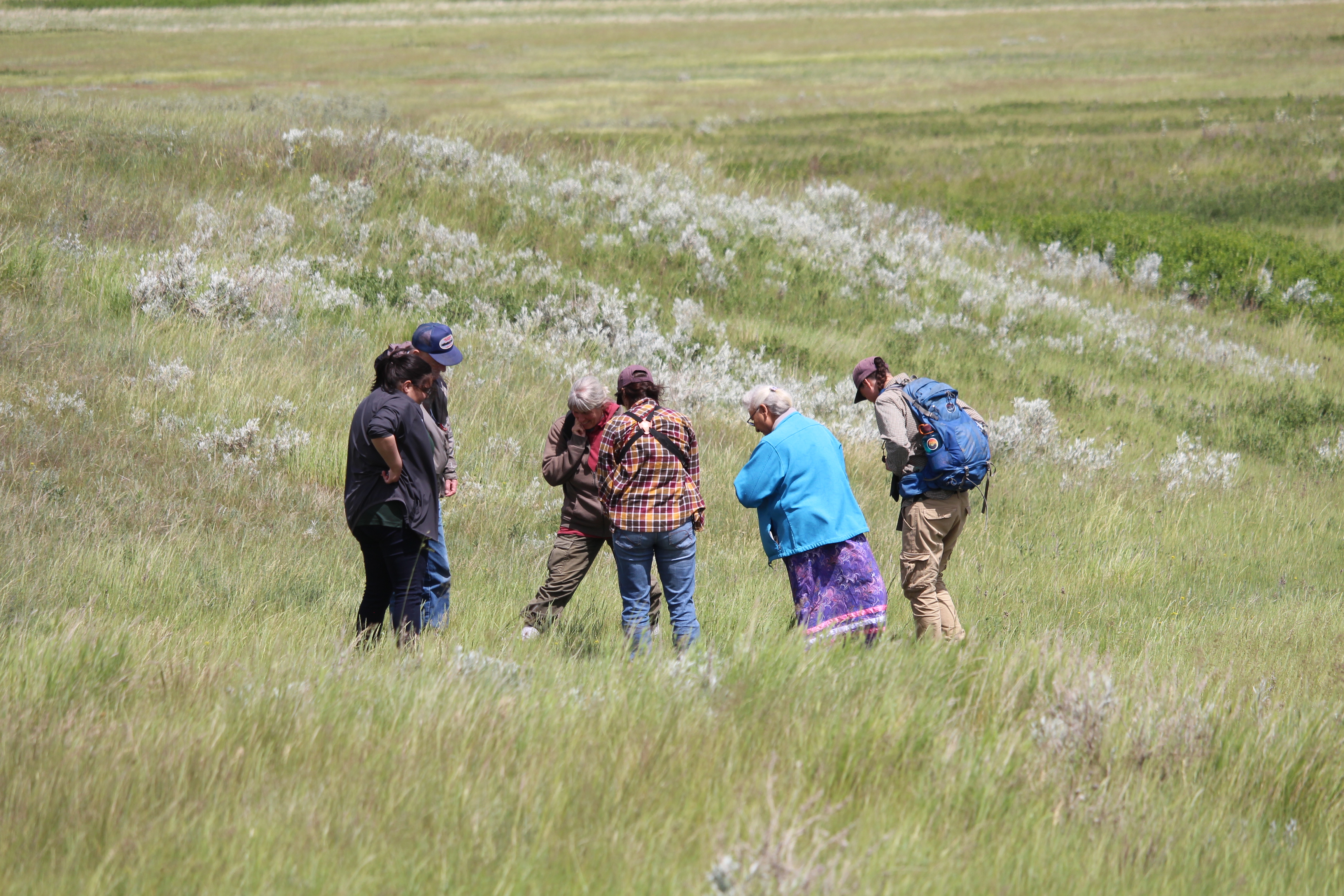 NCC leads tour through Cave Pasture conservation project ...