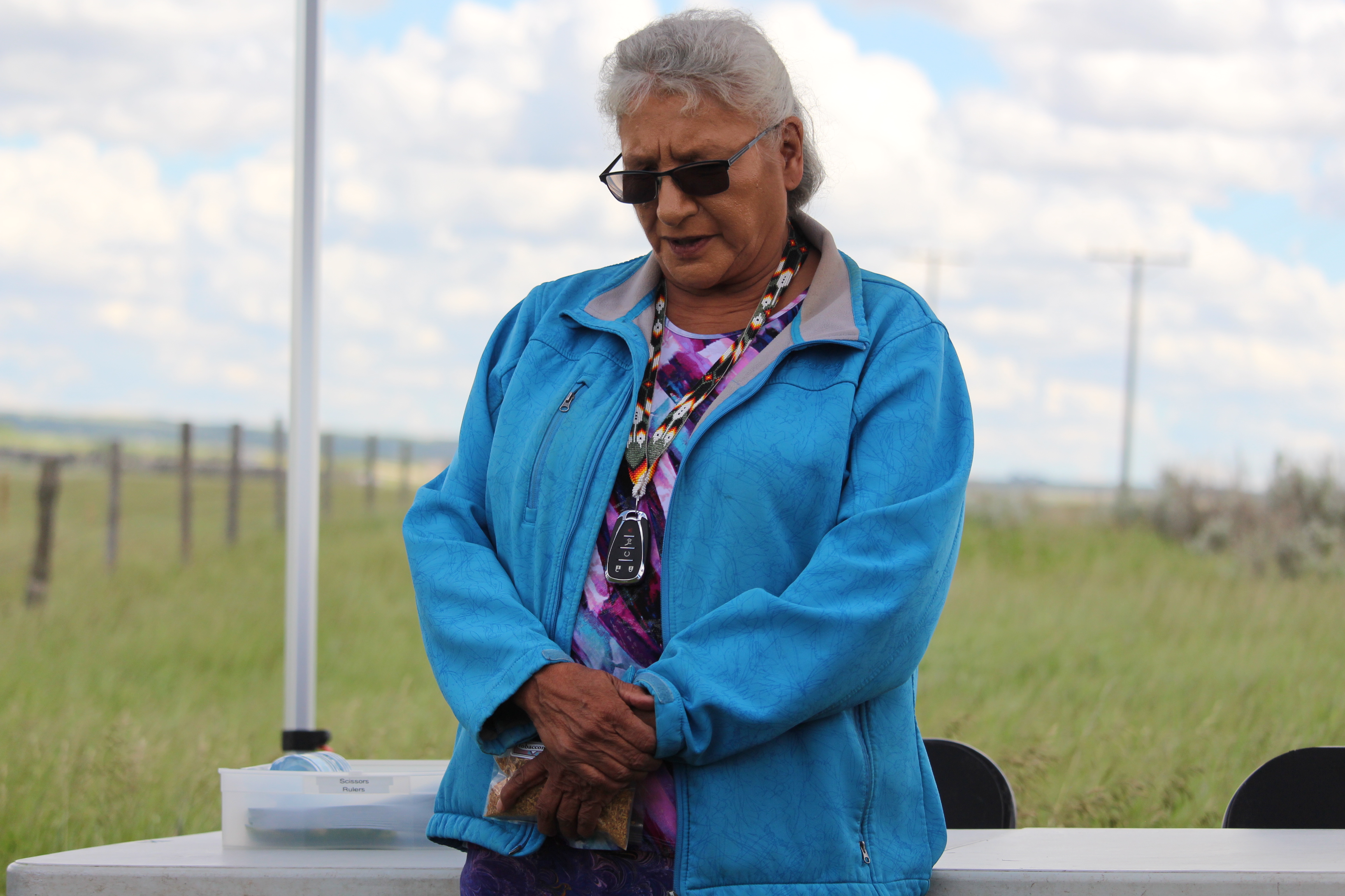 NCC leads tour through Cave Pasture conservation project ...